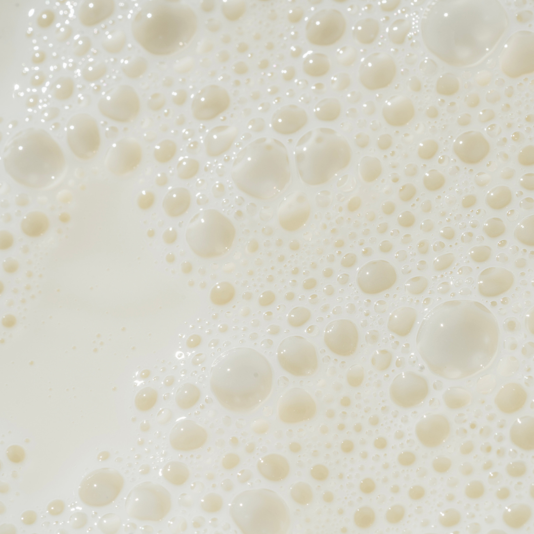 Protein 101: What to Look for in a Plant-Based Protein Shake – Elmhurst ...